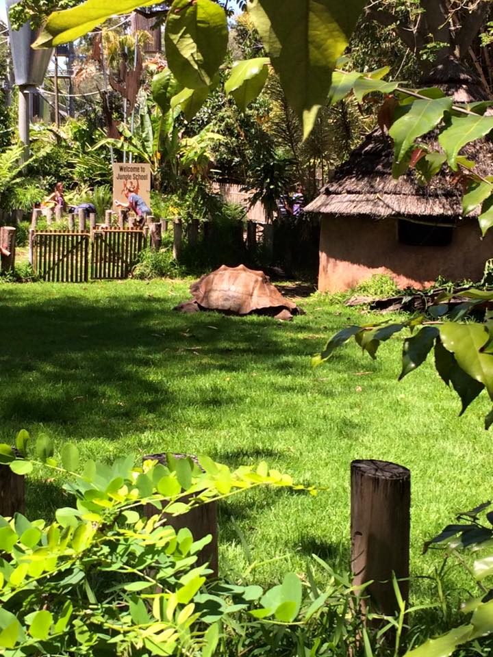 Perth Zoo – Your Travel Handbook