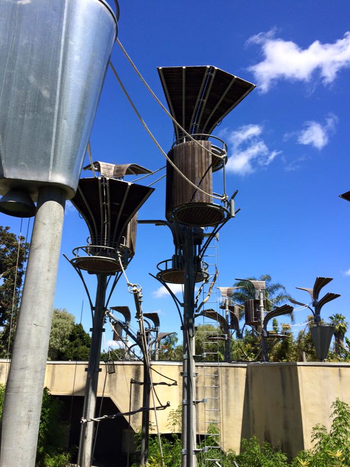 Perth Zoo – Your Travel Handbook