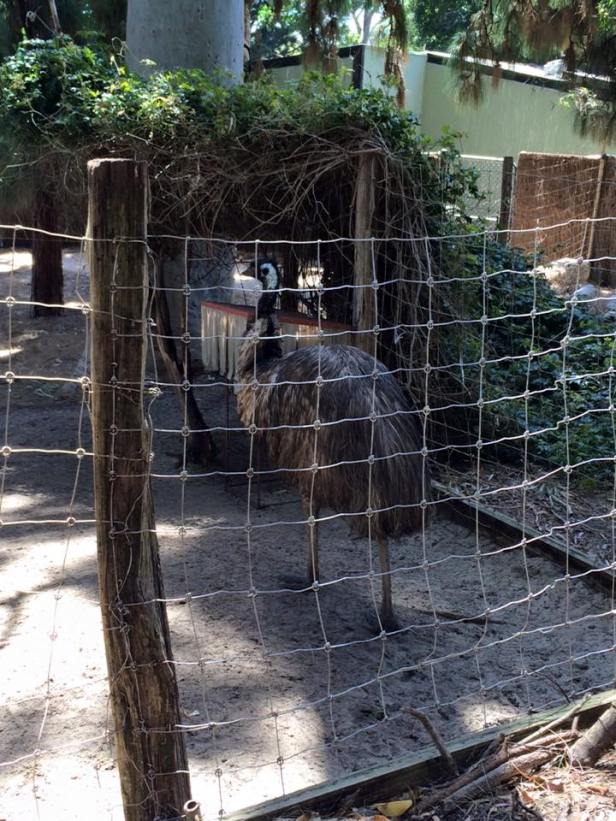 Perth Zoo – Your Travel Handbook