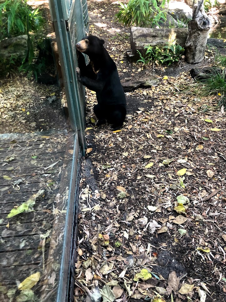 Perth Zoo – Your Travel Handbook