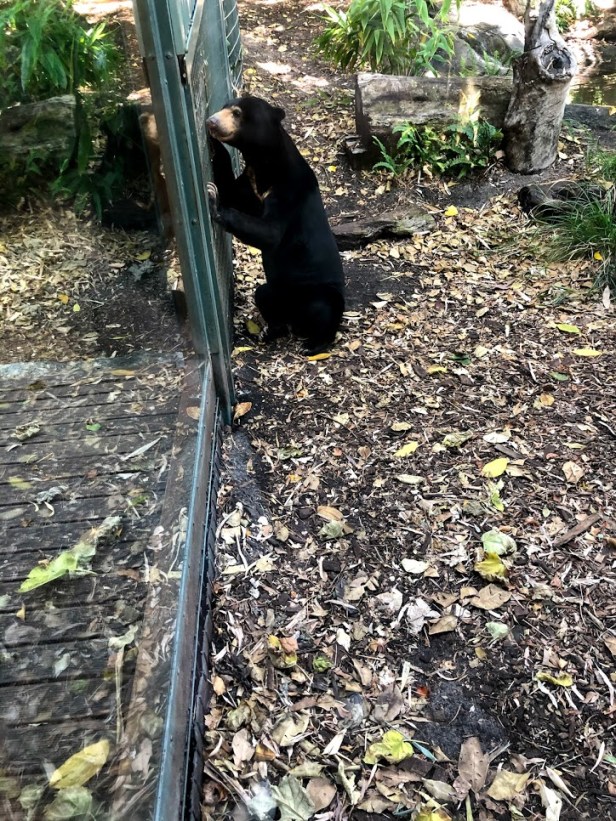 Perth Zoo – Your Travel Handbook