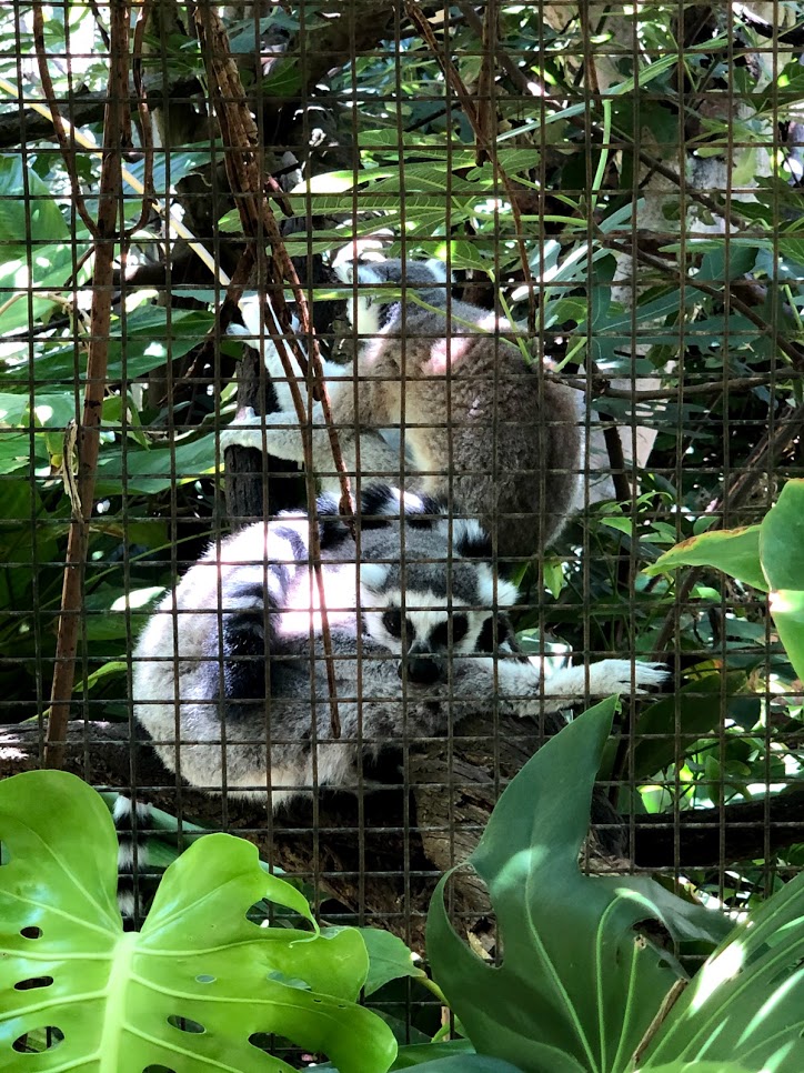 Perth Zoo – Your Travel Handbook