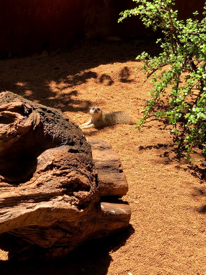 Perth Zoo – Your Travel Handbook