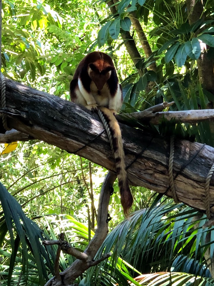 Perth Zoo – Your Travel Handbook