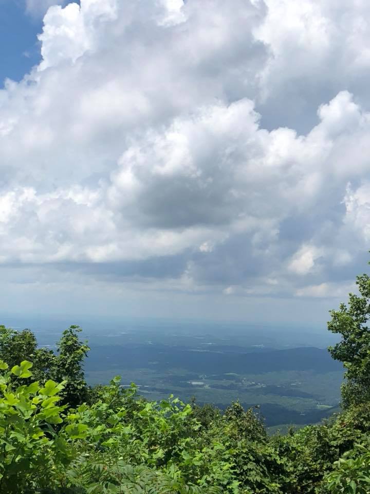 Driving from Tennessee to Georgia – Your Travel Handbook