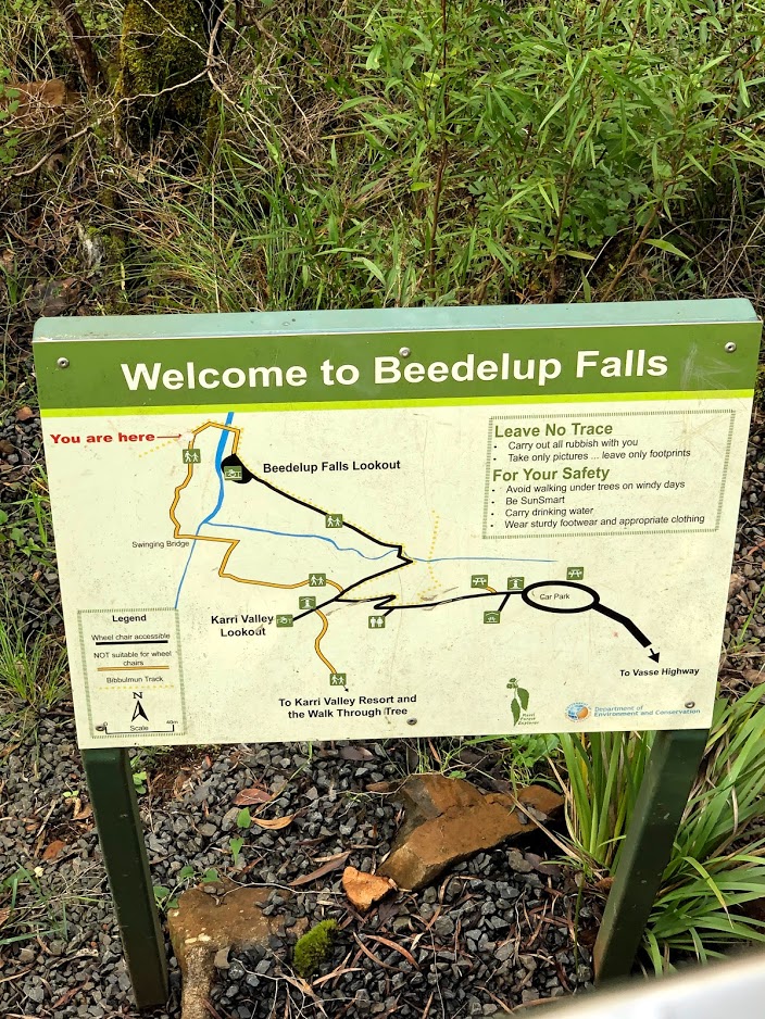 Beedelup Falls – Your Travel Handbook