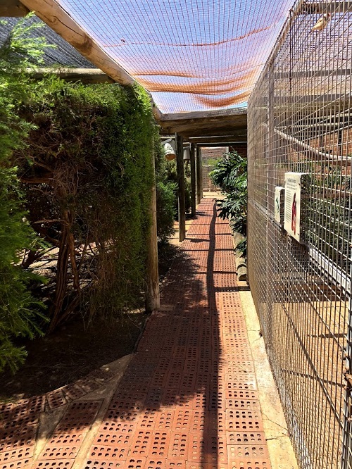 Rainbow Jungle, Kalbarri – Your Travel Handbook