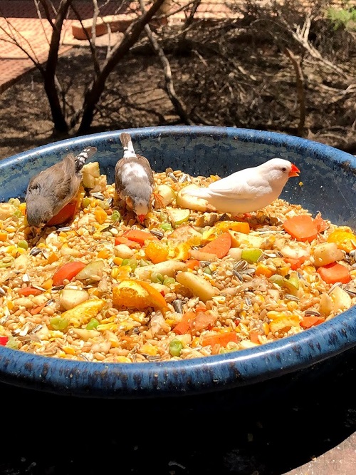 Rainbow Jungle, Kalbarri – Your Travel Handbook